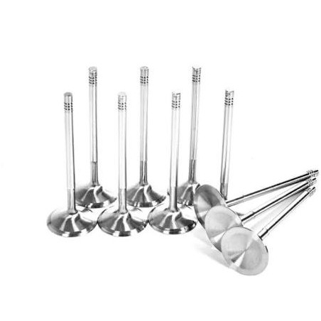 Audi S2 2.2 20V Ferrea intake valve STD F6029